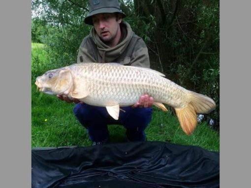 Gallery | Cackle Hill Lakes