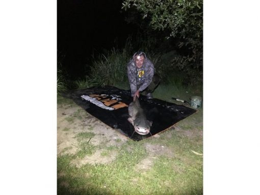 Gallery | Cackle Hill Lakes